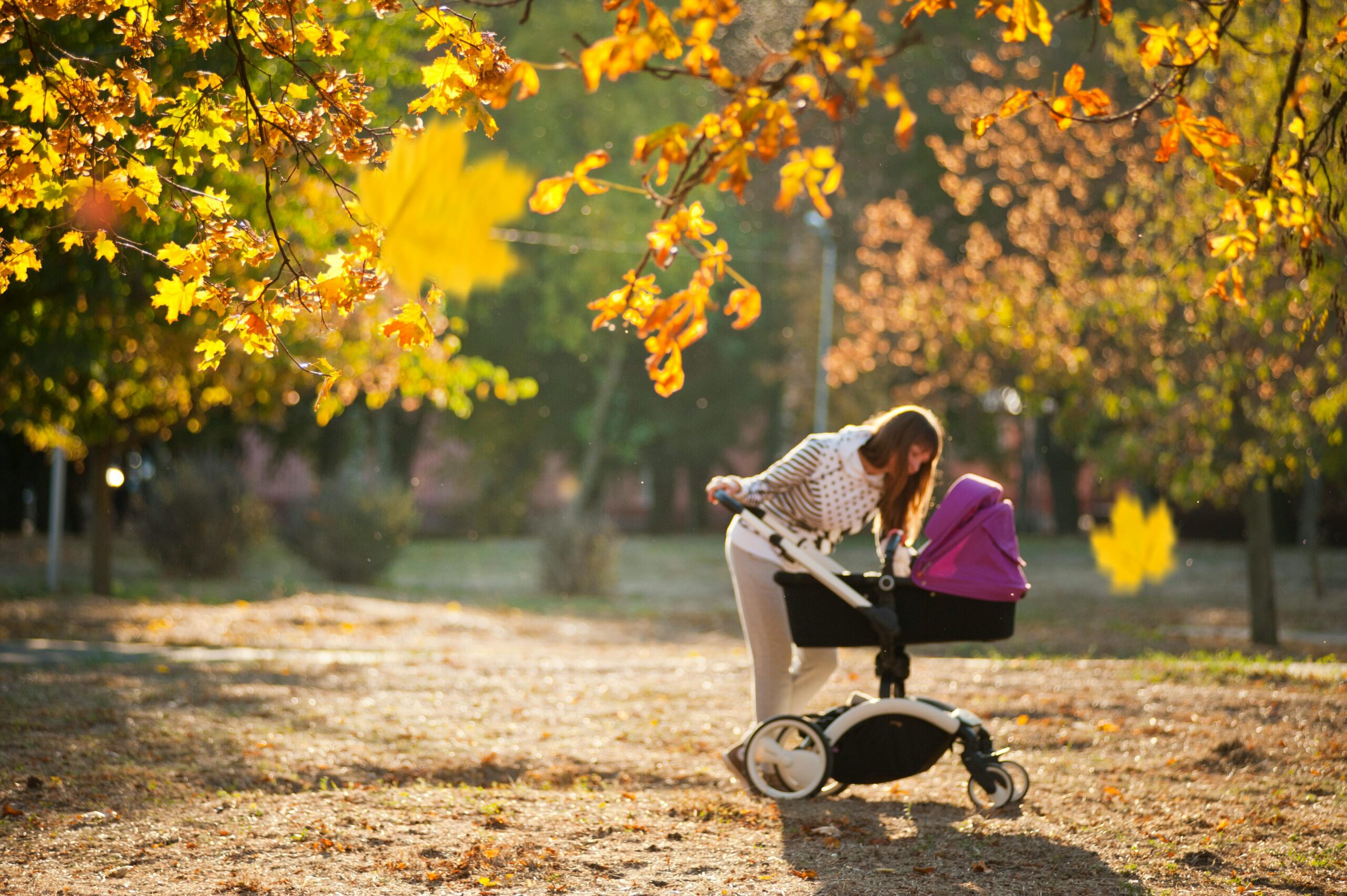 The 7 Best Baby Strollers for 2025 - Ready Set Motherhood